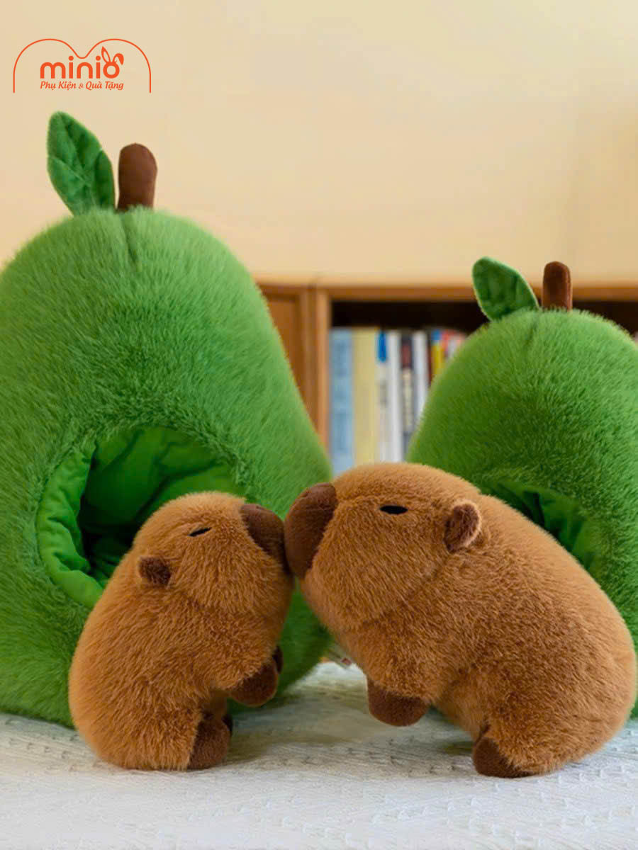 Capybara bơ xanh – Minio