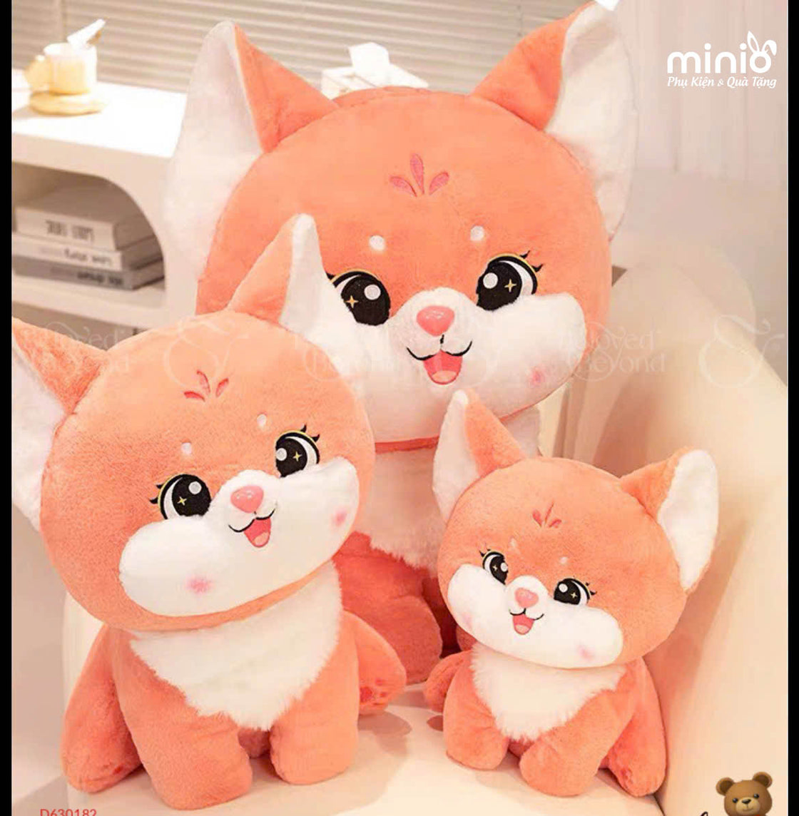 Chó Simba ngồi nhỡ – Minio